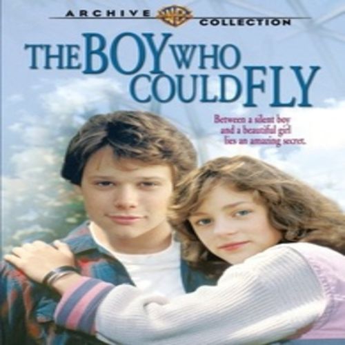 The Boy Who Could Fly - DVD | Best Buy Canada