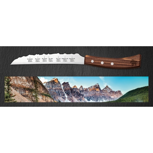 Serrated Knives | Best Buy Canada