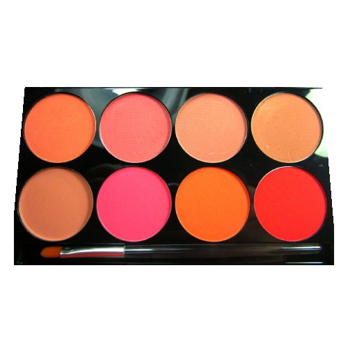 mehron Cheek Powder 8 Color Palette | Best Buy Canada