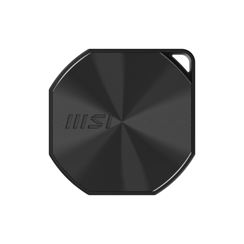 MSI DATAMAG 20Gbps 1 TB, USB-C 3.2 Gen 2 External Portable Solid State ...