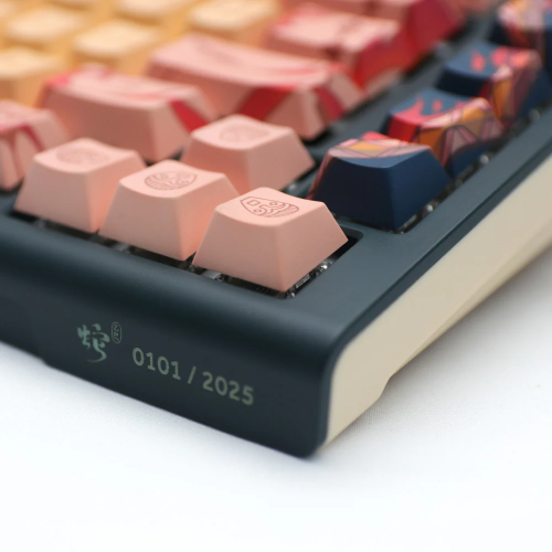 Ducky Year of the Snake Edition Wired RGB Mechanical Keyboard,Hot ...